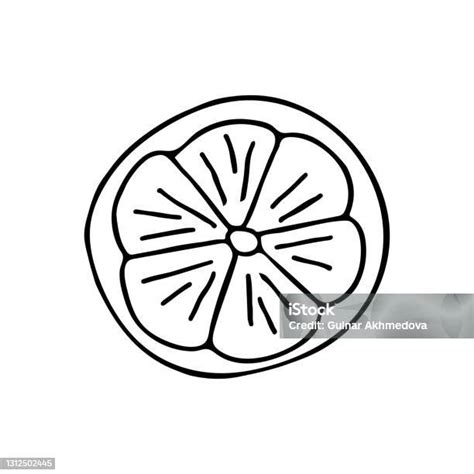 벡터에 레몬 그림을 슬라이스 낙서 벡터에 손으로 그린 레몬 그림 레몬 손으로 그린 일러스트를 잘라 벡터의 낙서 레몬 아이콘 감귤류 과일에 대한 스톡 벡터 아트 및 기타