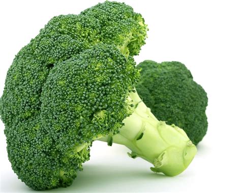 배경 화면 브로콜리 야채 2560x1920 그림 이미지