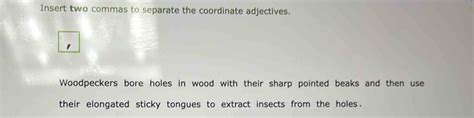 Solved Insert Two Commas To Separate The Coordinate Adjectives