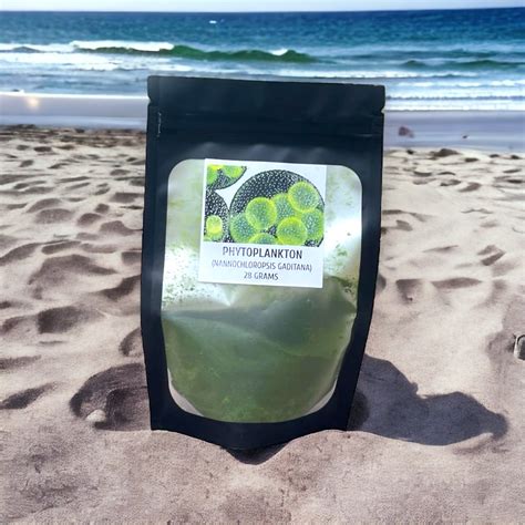 Phytoplankton Quantumcollective Co