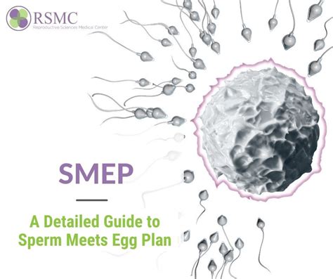 Smep Sperm Meets Egg Plan How Does It Work