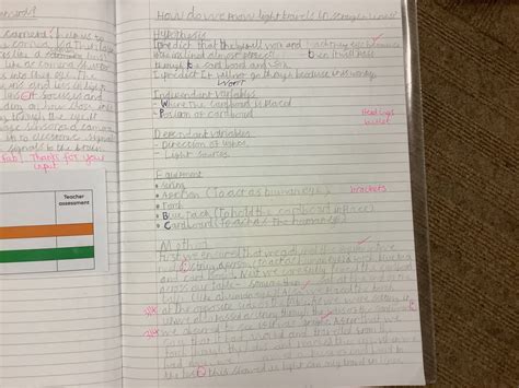 Scientific Report Writing In MI Carcroft Babe