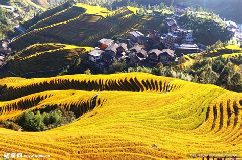 龙胜龙脊梯田风光摄影图 自然风景 自然景观 摄影图库 昵图网
