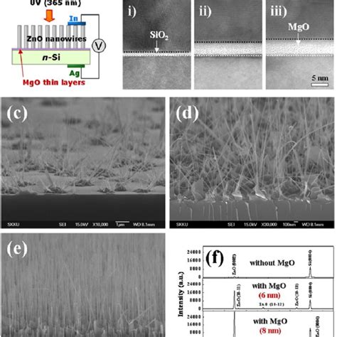 A Schematic Diagram Of The Zno Nanowire Based Uv Photodetectors With Download Scientific