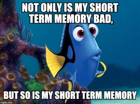 Dory Memory 