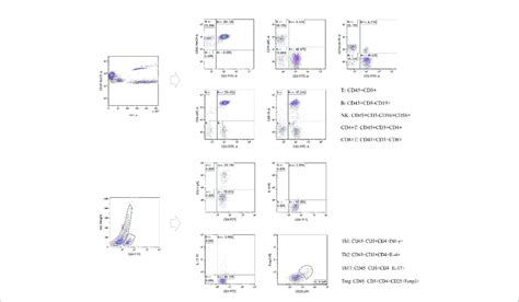 Original Figure And Cell Surface Molecule Markers Of Lymphocyte