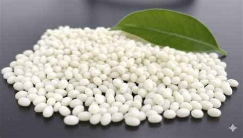 All Types Of Bioplastic From Starch