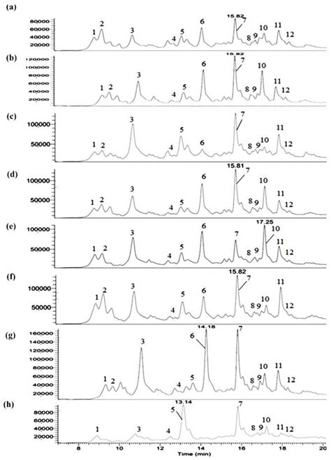 Antioxidants Free Full Text Phytochemical Composition