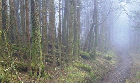 10 Creepy Appalachian Cryptids That Remain A Mystery