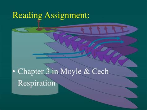 Ppt Reading Assignment Powerpoint Presentation Free Download Id