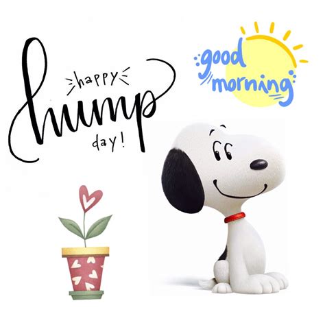 Wednesday Happy Humpday Quotes Happy Wednesday Pictures Hump Day Humor