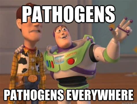 Pathogens Pathogens Everywhere Buzz Lightyear Quickmeme