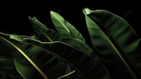 Banana Leaves In 3d With A Dark Background Showcase Product Showcase