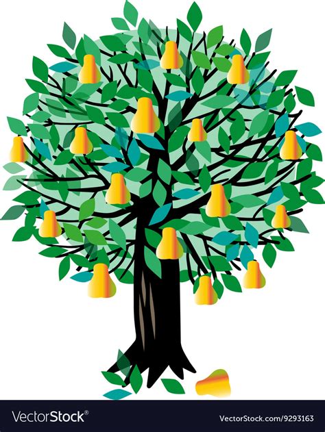 Pear Tree Royalty Free Vector Image Vectorstock
