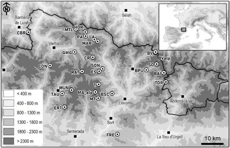 Comparative Analysis Of Dna Metabarcoding And Morphological
