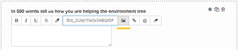 How To Format Text In Blitzen Forms Add Pictures And Hyperlinks