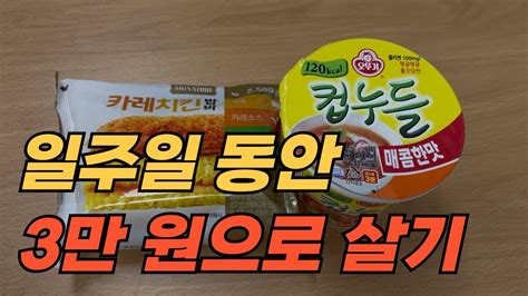 절약하면서 갓생 살기 💪🏻 4억 대출 갚는 빚쟁이의 일주일 가계부 🗓️ 절약브이로그 20대 돈 모으기 Youtube