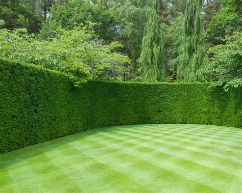 Lawn Mowing Patterns 6 Designs Plus Tips On How To Do It Gardeningetc
