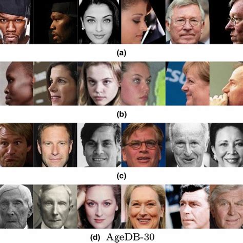 Examples Face Images From A Cfp Fp B Cplfw C Calfw And D Agedb 30