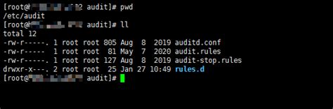 linux审计工具auditd使用与日志收集 nf csdn博客