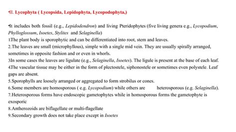 Classification Of Pteridophytes Systems Pptx