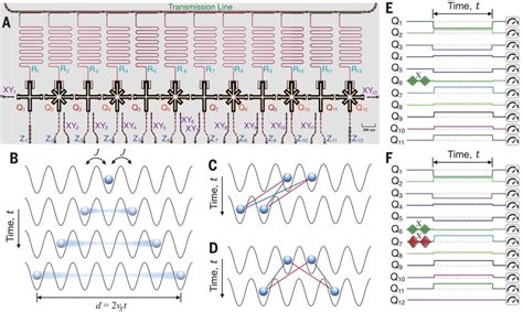Quantum Walks Of One And Two Photons In A 1d Lattice Of A Download Scientific Diagram