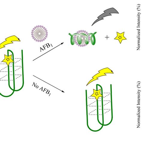 Verification Of This Fluorescence Aptasensor For Detection Of Afb1 A Download Scientific