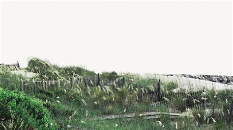 Green Grass Computer Wallpaper Nature Free Photo Rawpixel