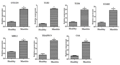 Immune Gene Transcript Levels In Healthy N 60 And Mastitic N 60