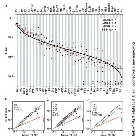 17 5 Example Of The Statistical Connectivity Of The Macaque Brain See Download Scientific
