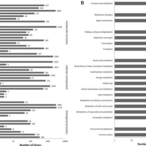 Morphology Of Embryogenic Callus And Non Embryogenic Callus A