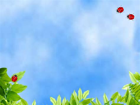 Шаблоны презентаций по экологии Zefirka Club фото и картинки