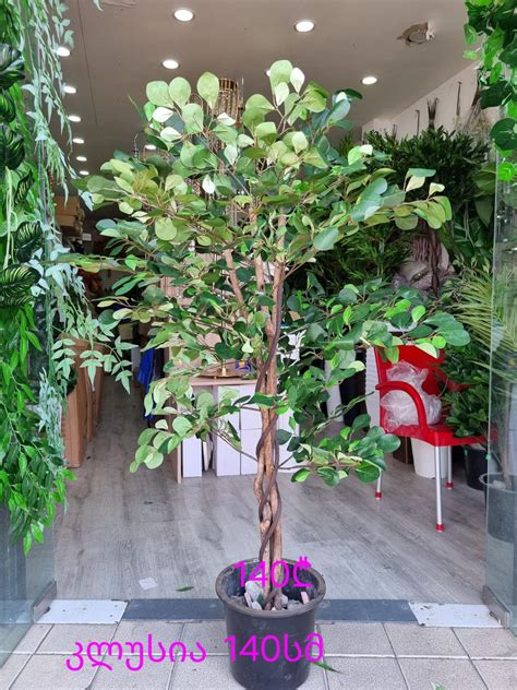 ლილო მოლი რიგი ბ2 ხელოვნური ყვავილი Xelovnuri Yvavilebi Facebook