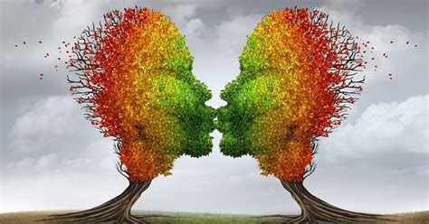 Top 5 Myths About Sex And Aging Renew Health And Wellness
