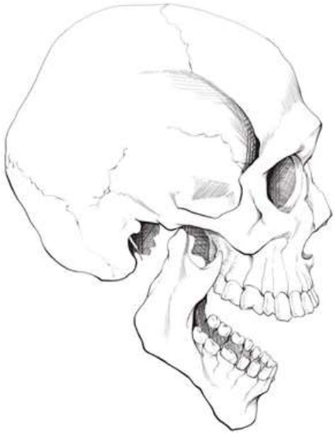 Dislocation Of The Temporomandibular Joint Dislocation Of The Head Of Download Scientific