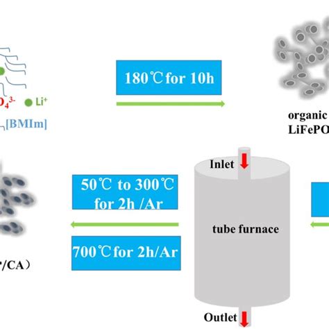 Schematic Illustration Of The Lfpca Sample Download Scientific Diagram
