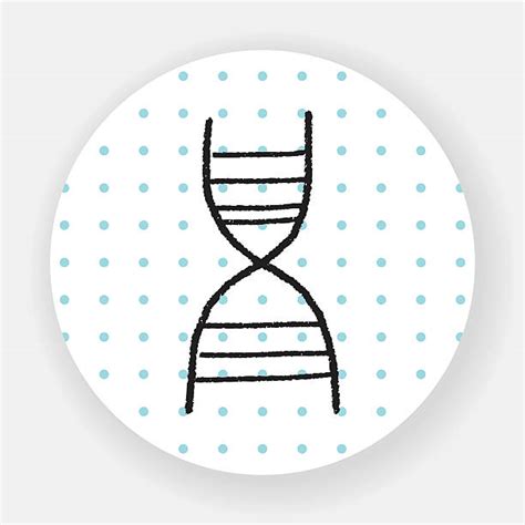 280 How To Draw A Dna Strand Backgrounds Stock Illustrations Royalty