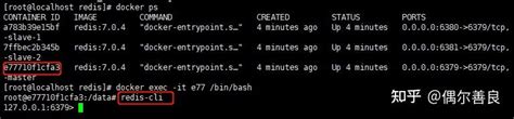 docker compose搭建redis7 0 4高可用一主二从三哨兵集群并整合springboot 知乎