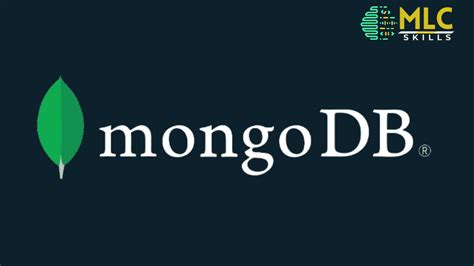 Mlc Maanavan Learn Code