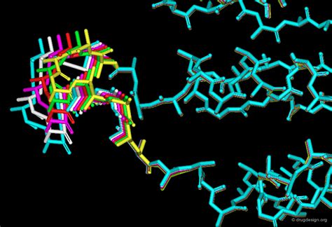 Molecular Dynamics Drug Design Org
