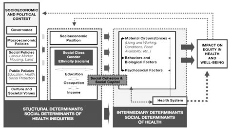 Final Form Of The Csdh Conceptual Framework Solar And Irwin 2010