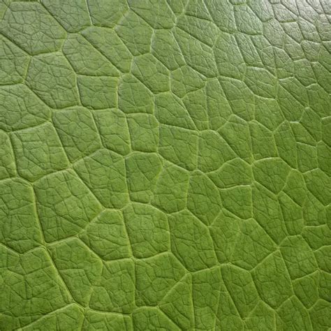 Leaf Cells Pbr Texture