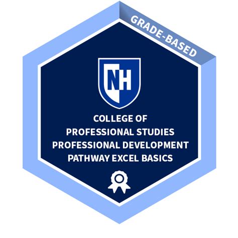 Professional Development Pathway Excel Basics Credly