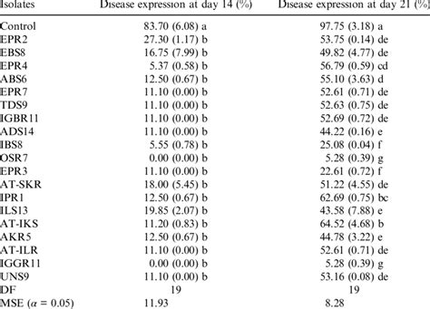 Antagonist Pathogen Interaction Effect On Maize Seedling Growth