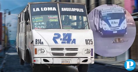 Chofer De Ruta A Atropella Intencionalmente A Lomito Que Descansaba