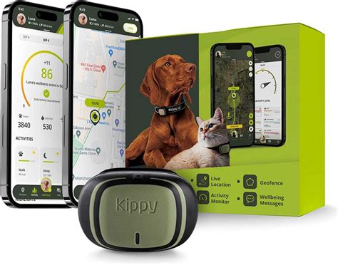Die Besten Gps Tracker Für Hunde Und Katzen Im Vergleich Pc Welt