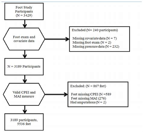 Inclusion Flow Chart Download Scientific Diagram