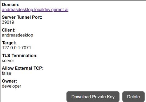 api for setting up tunnels boringproxy indiebits