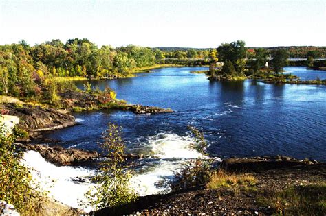 Cyanobacteria Blue Green Algae Understanding The Risks And How