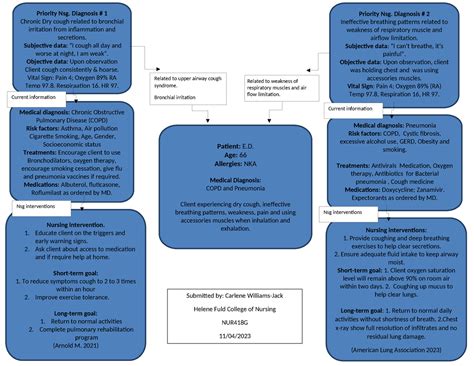 Geriatric Concept Map Nov 20 2023 Decreased Sensation T Patient E